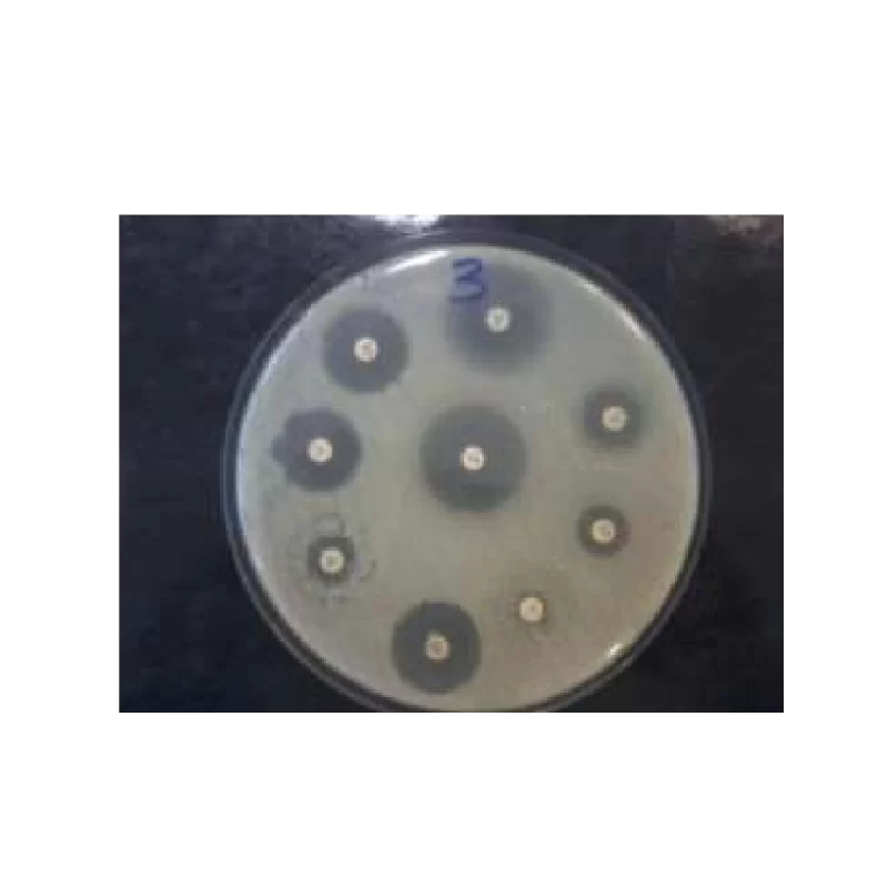 Oxoid™ Fosfomycin Antimicrobial Susceptibility Disks, 50 μg / Discos de ...
