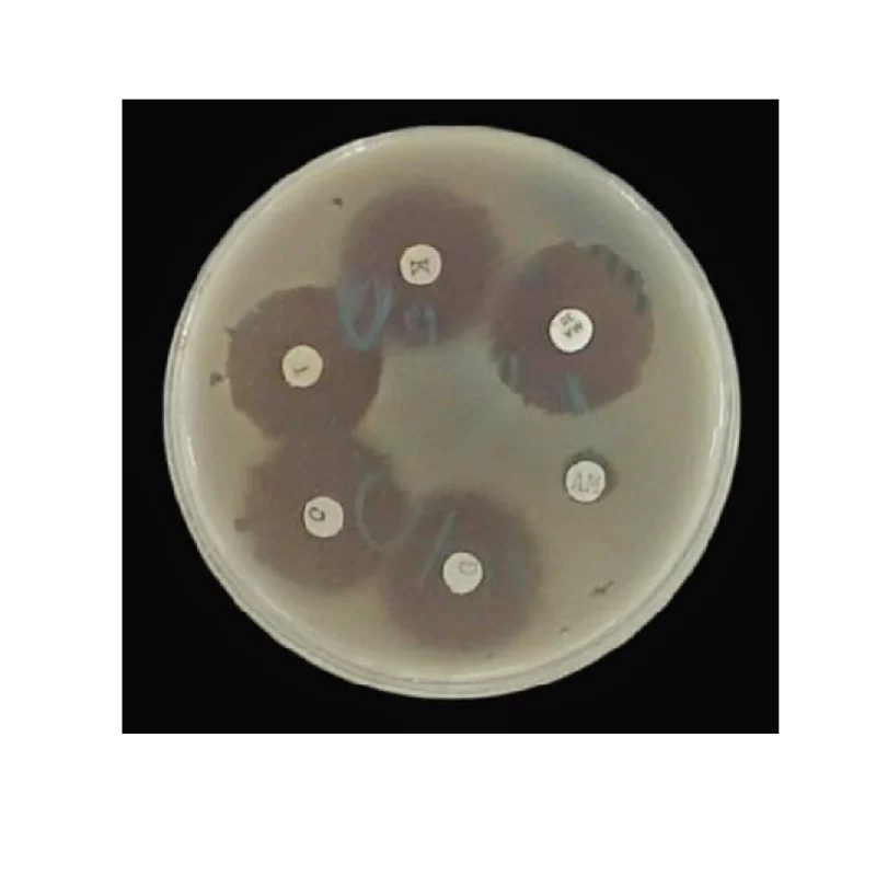 Oxoid™ Cefepime Antimicrobial Susceptibility discs / Discos de ...
