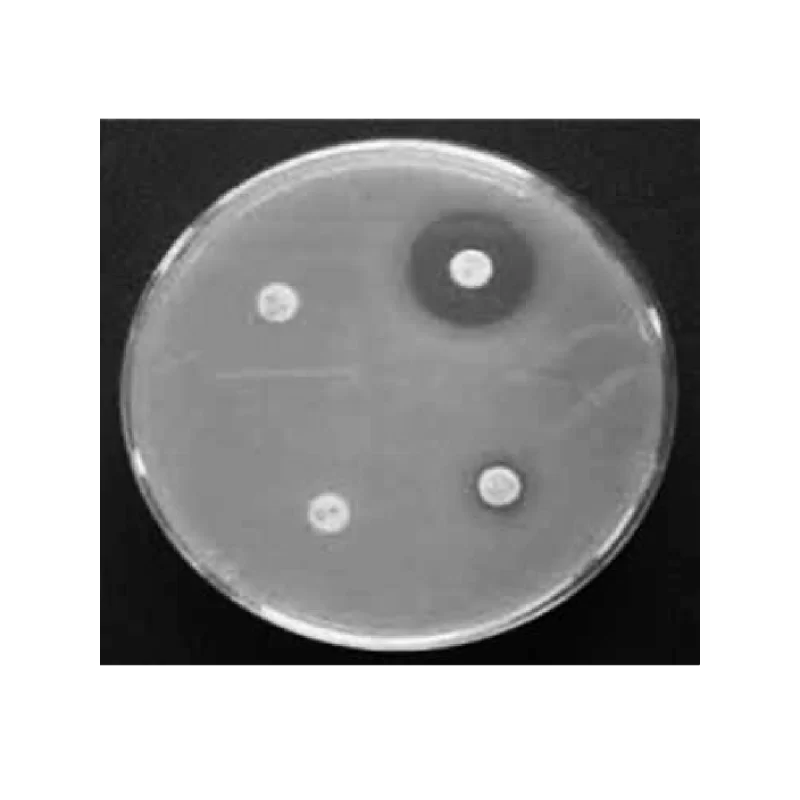 Oxoid™ Cefotaxime Antimicrobial Susceptibility discs / Discos de ...