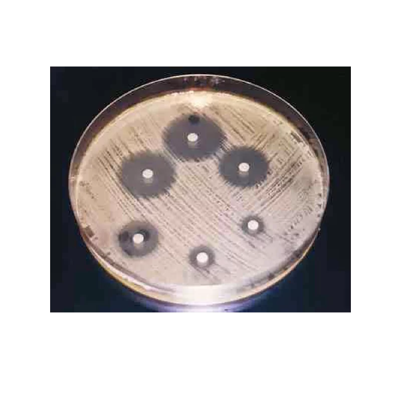 Oxoid™ Cefuroxime Sodium Antimicrobial Susceptibility discs / Discos de ...