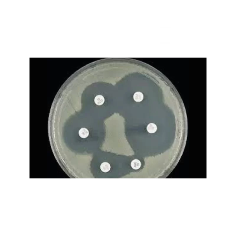 Oxoid™ Kanamycin Antimicrobial Susceptibility discs / Discos de ...