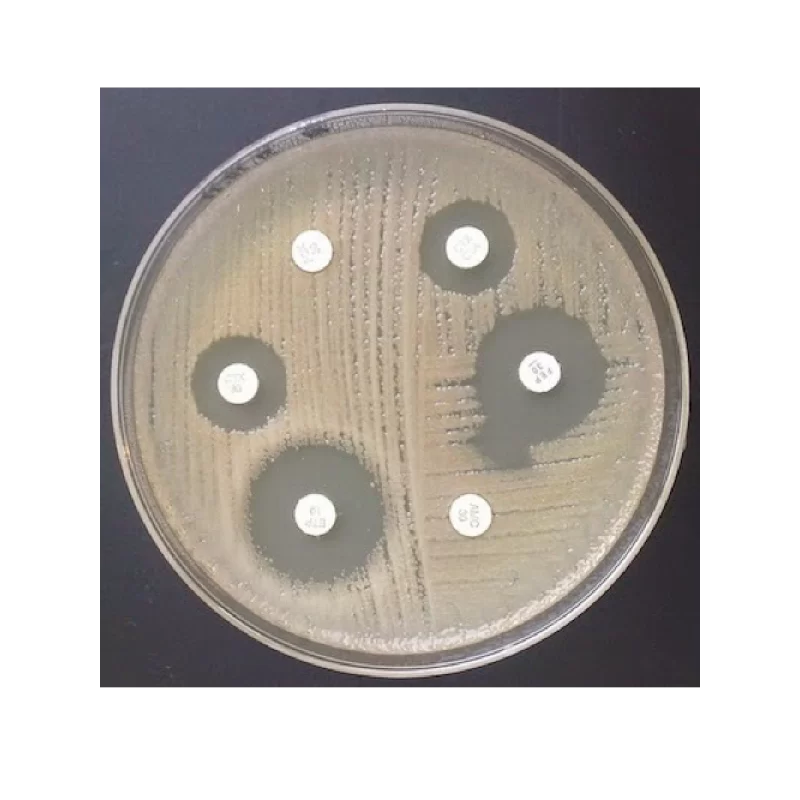 Oxoid™ Aztreonam Antimicrobial Susceptibility discs / Discos de ...