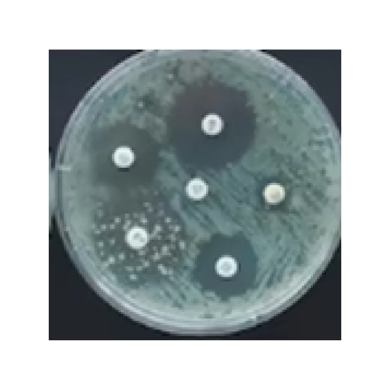 Oxoid™ Oxolinic Acid Antibiogram Disks, 2 µg / Discos para ...