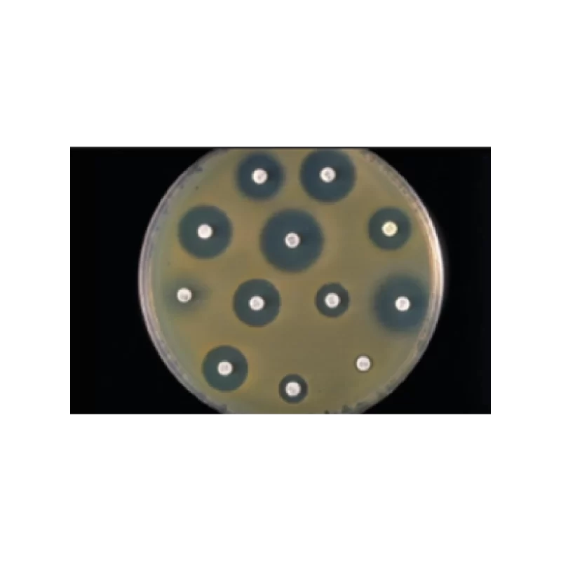 Oxoid™ Cefadoxil Antibiogram Disks, 30 µg / Discos para antibiogramas ...
