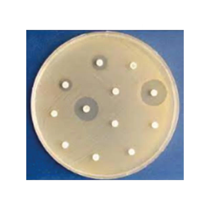 Oxoid™ Neomycin Antibiogram Disks, 10 µg / Discos para antibiogramas ...