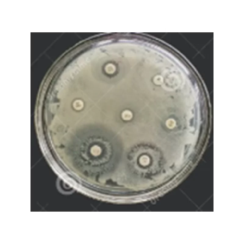 Oxoid™ Ofloxacin Antimicrobial Sensitivity Discs / Discos para ...