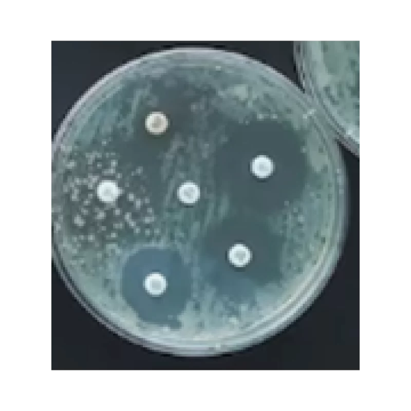 Oxoid™ Ticarcillin Antimicrobial Sensitivity Discs / Discos para ...